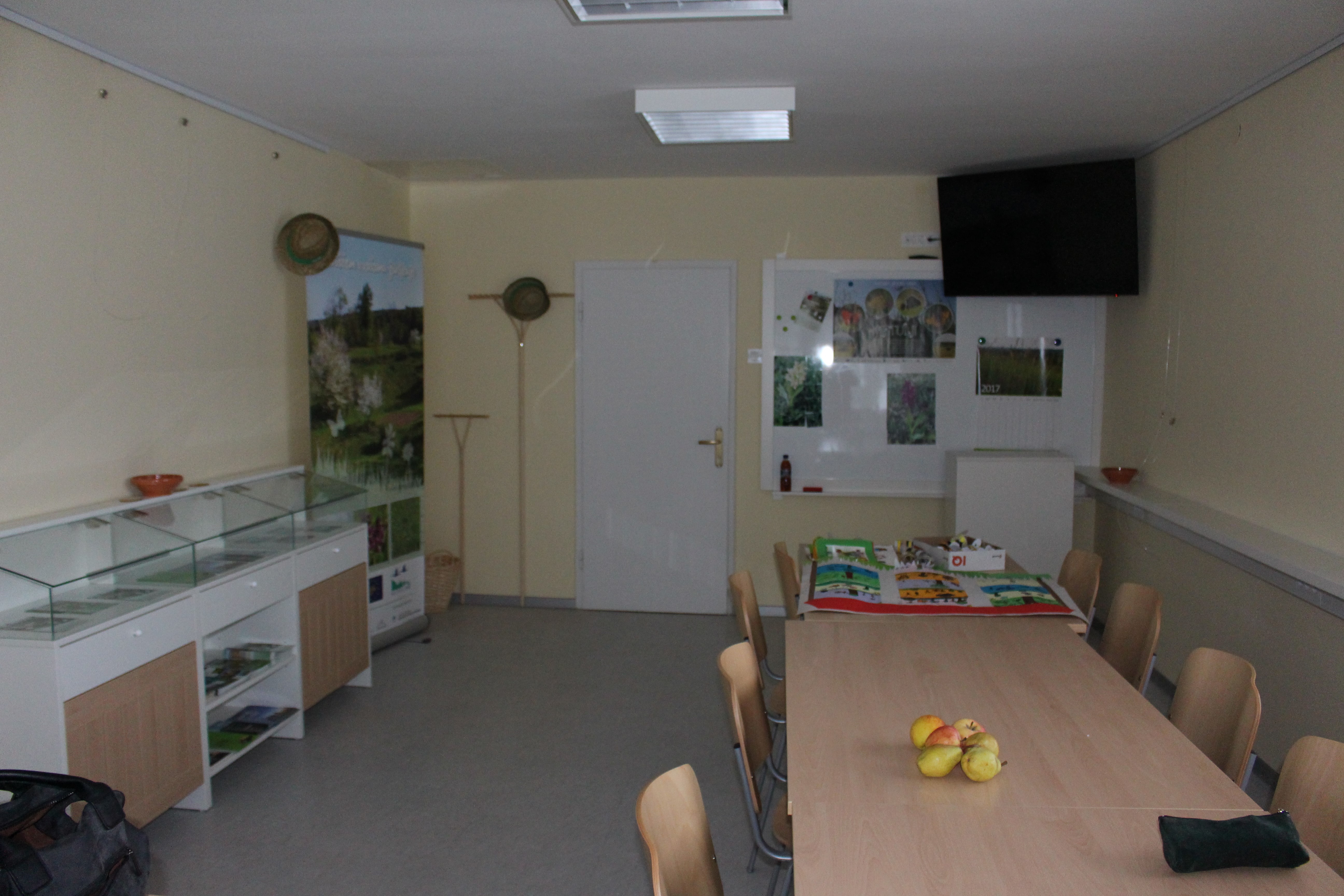 Results of the project - Grasslands